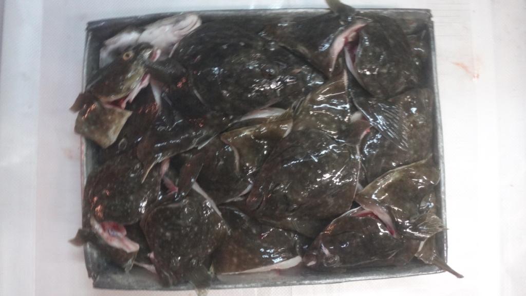 Products | Sigma Marine Technology